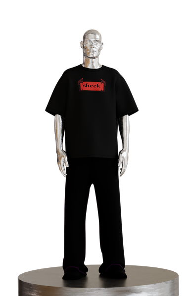 SHEEK EXCLUSIVE T-shirt – SHEEK CLOTHING
